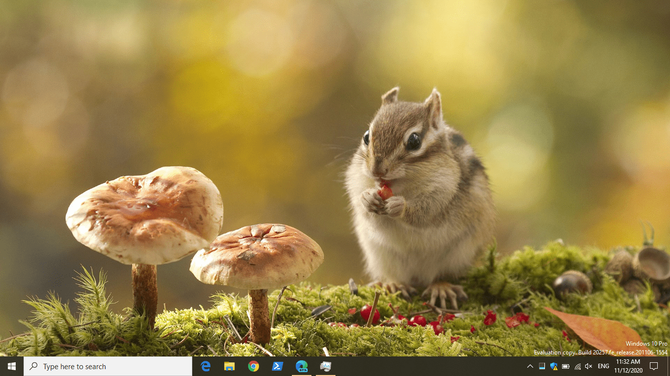 Windows 10 Insider Preview Build 20257 Released - AugmaStudio