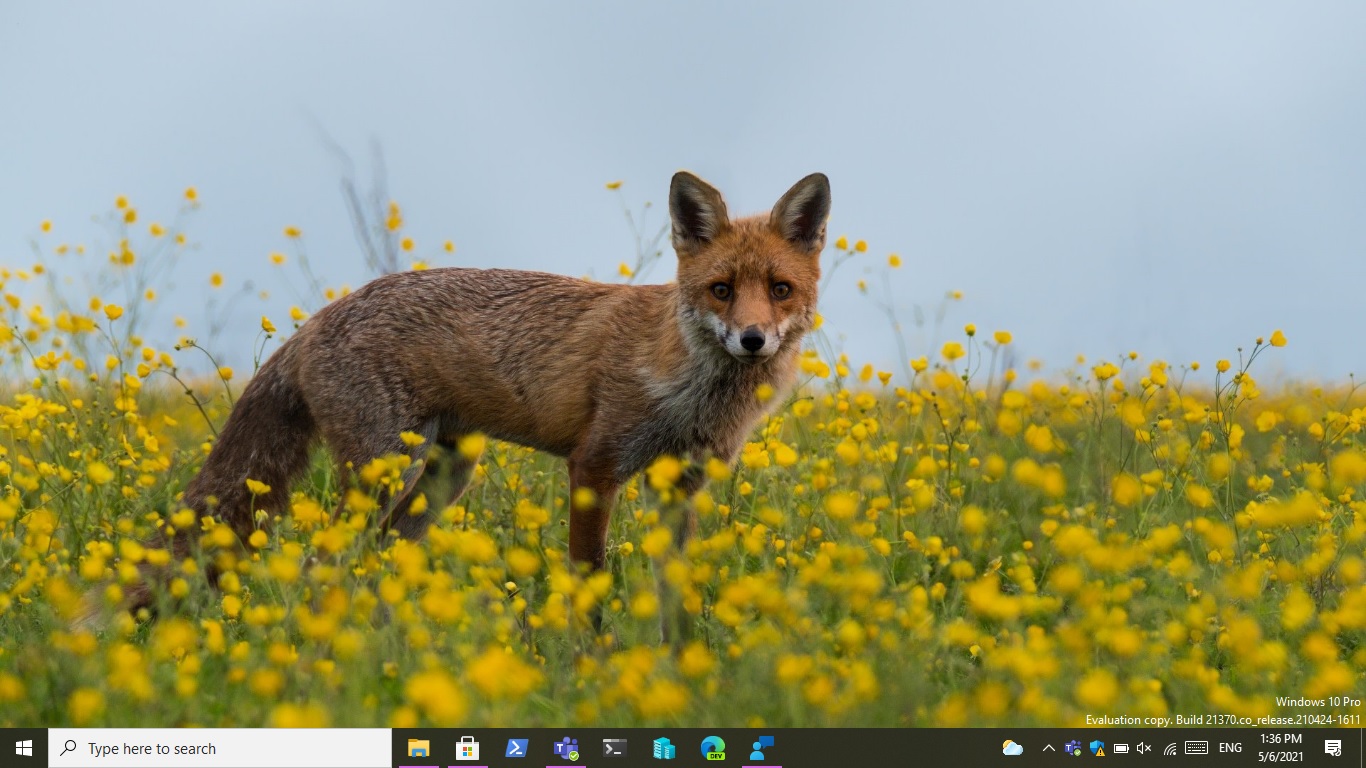 Given a try with Windows Insider Preview Build 21370 - AugmaStudio
