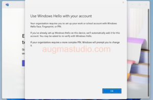 How to register Windows 11 device to Microsoft Entra ID - AugmaStudio