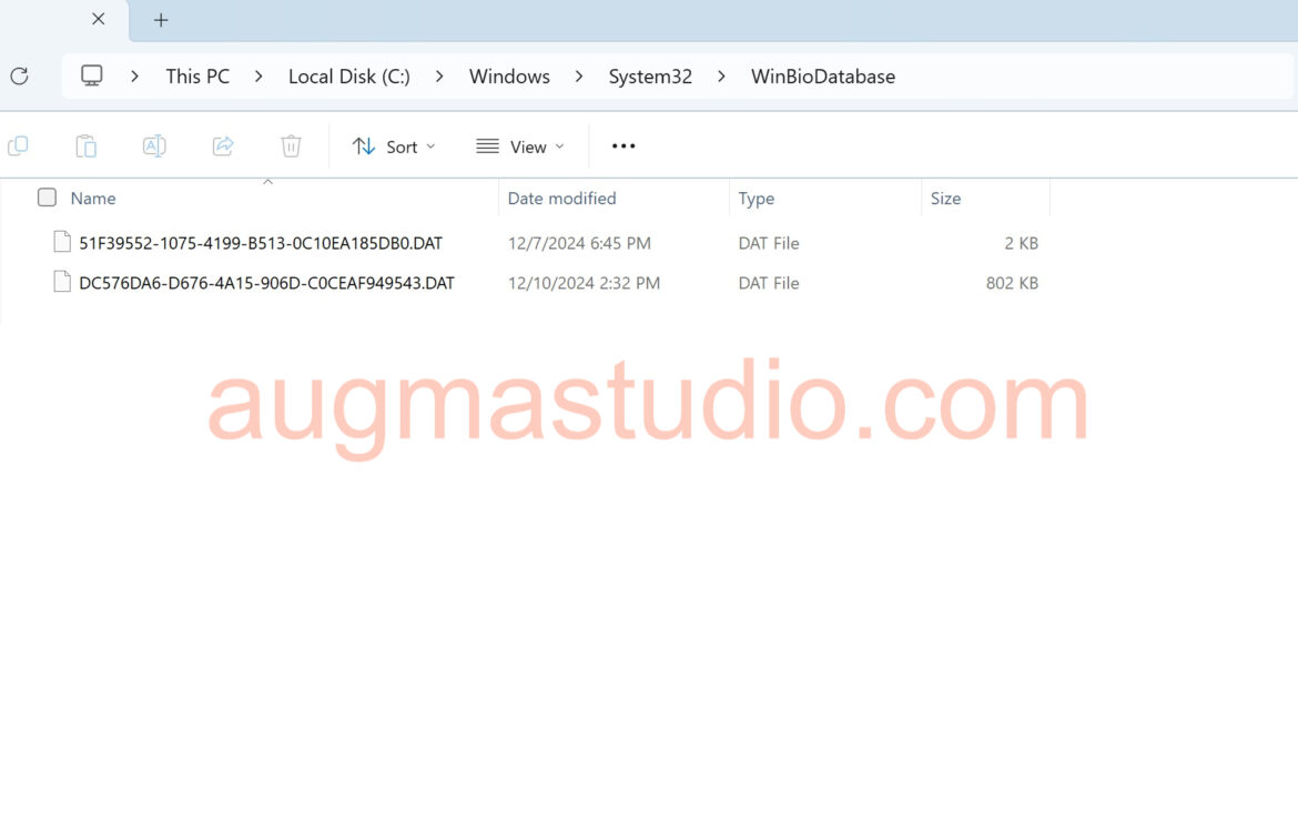 Solution for Windows Hello Facial recognition unable to add - AugmaStudio