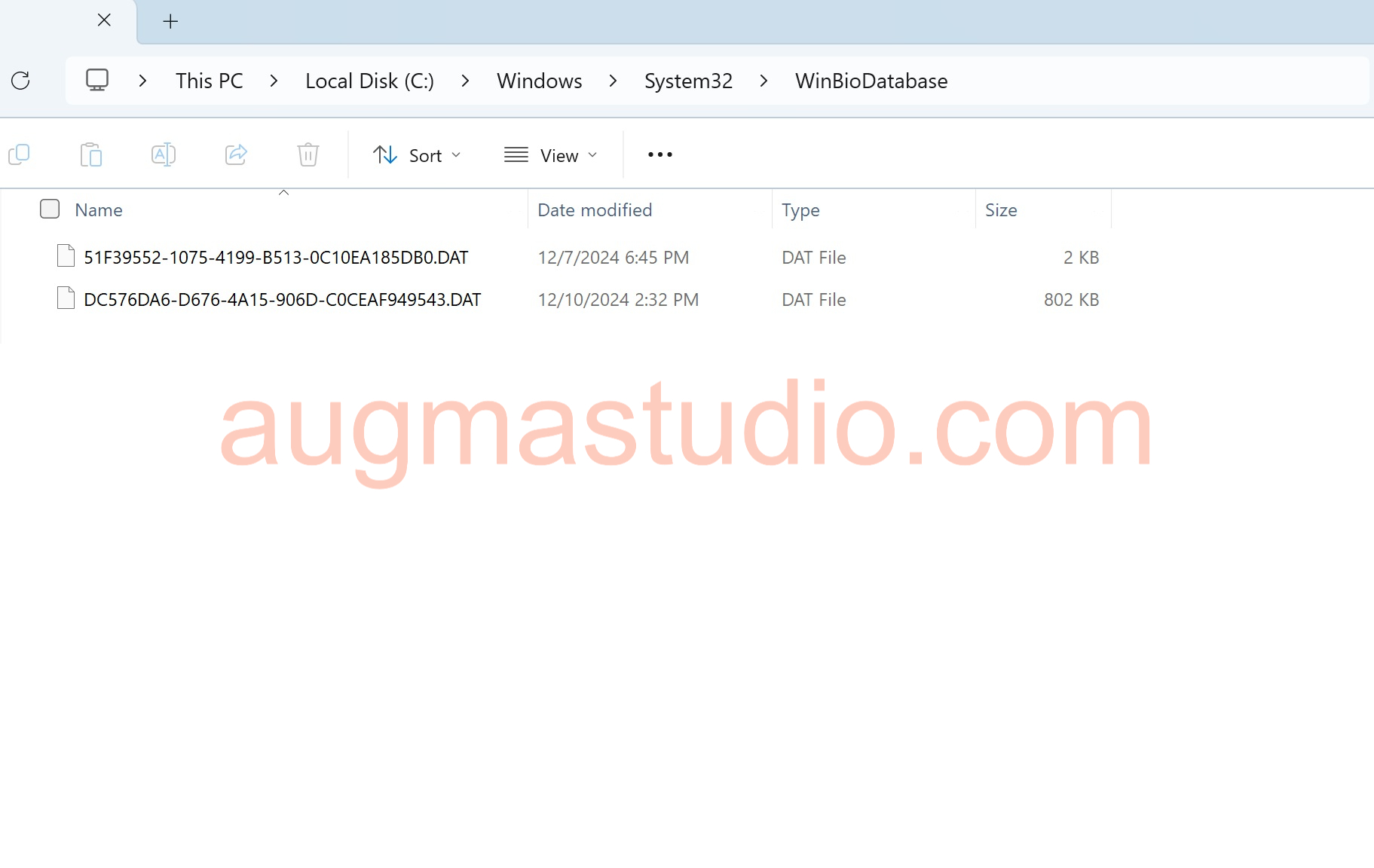 Solution for Windows Hello Facial recognition unable to add - AugmaStudio